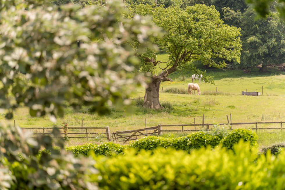 Slater's Country Hotel & Inn | Rooms, Food, Shopping & Weddings